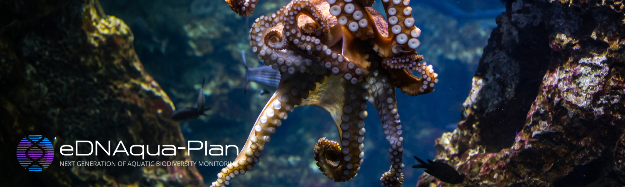 Publications - eDNAqua-Plan